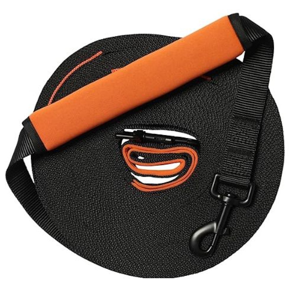 Best long-line training lead for dogs to help with recall