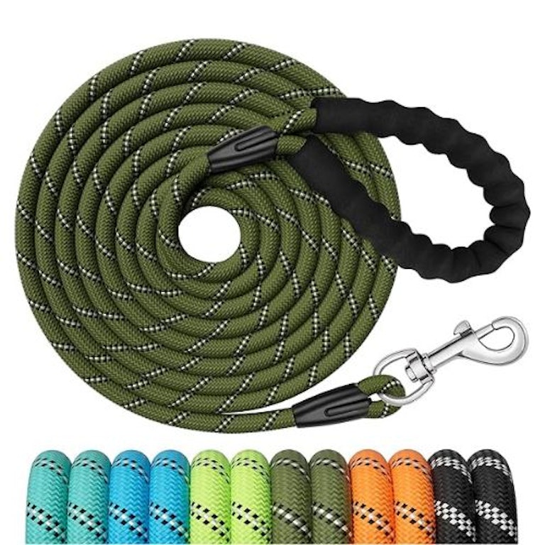 Best long-line training lead for dogs to help with recall