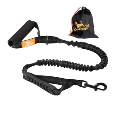 Best leads for dogs that pull for more control on walks