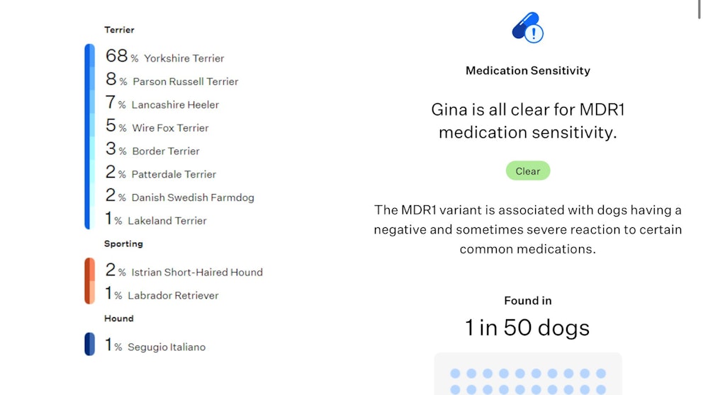 Wisdom Panel Dog DNA test reviews: Save ££ for Black Friday