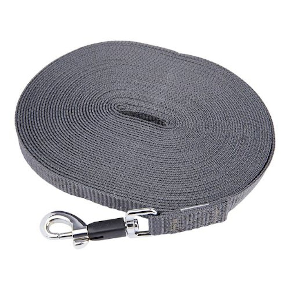 Best long-line training lead for dogs to help with recall