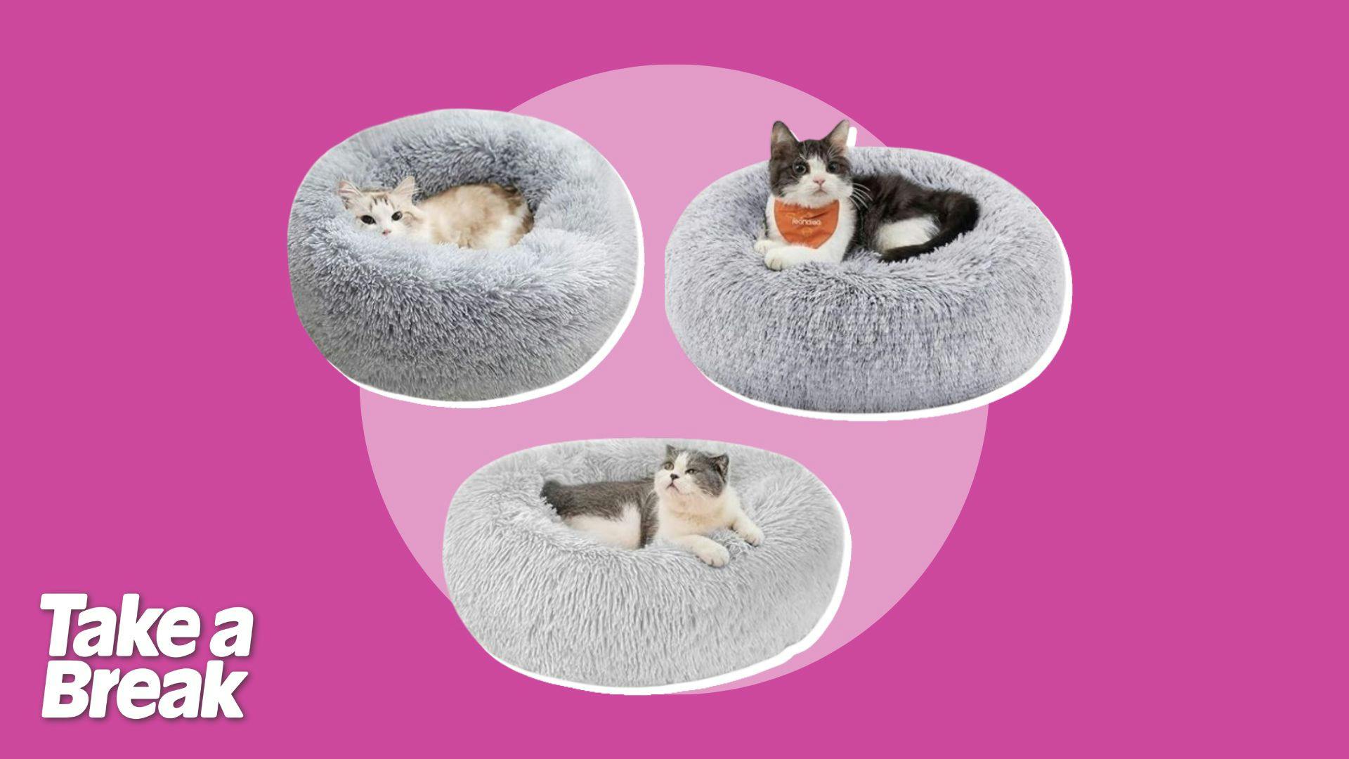 Best donut cat beds for comfort, support and style
