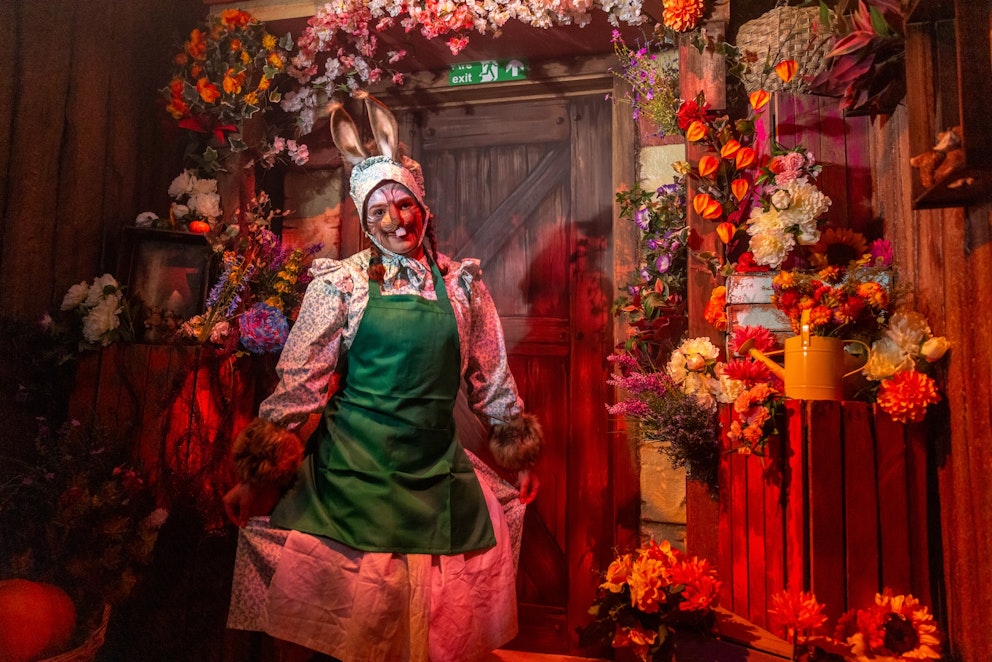 The best kids days out this Halloween