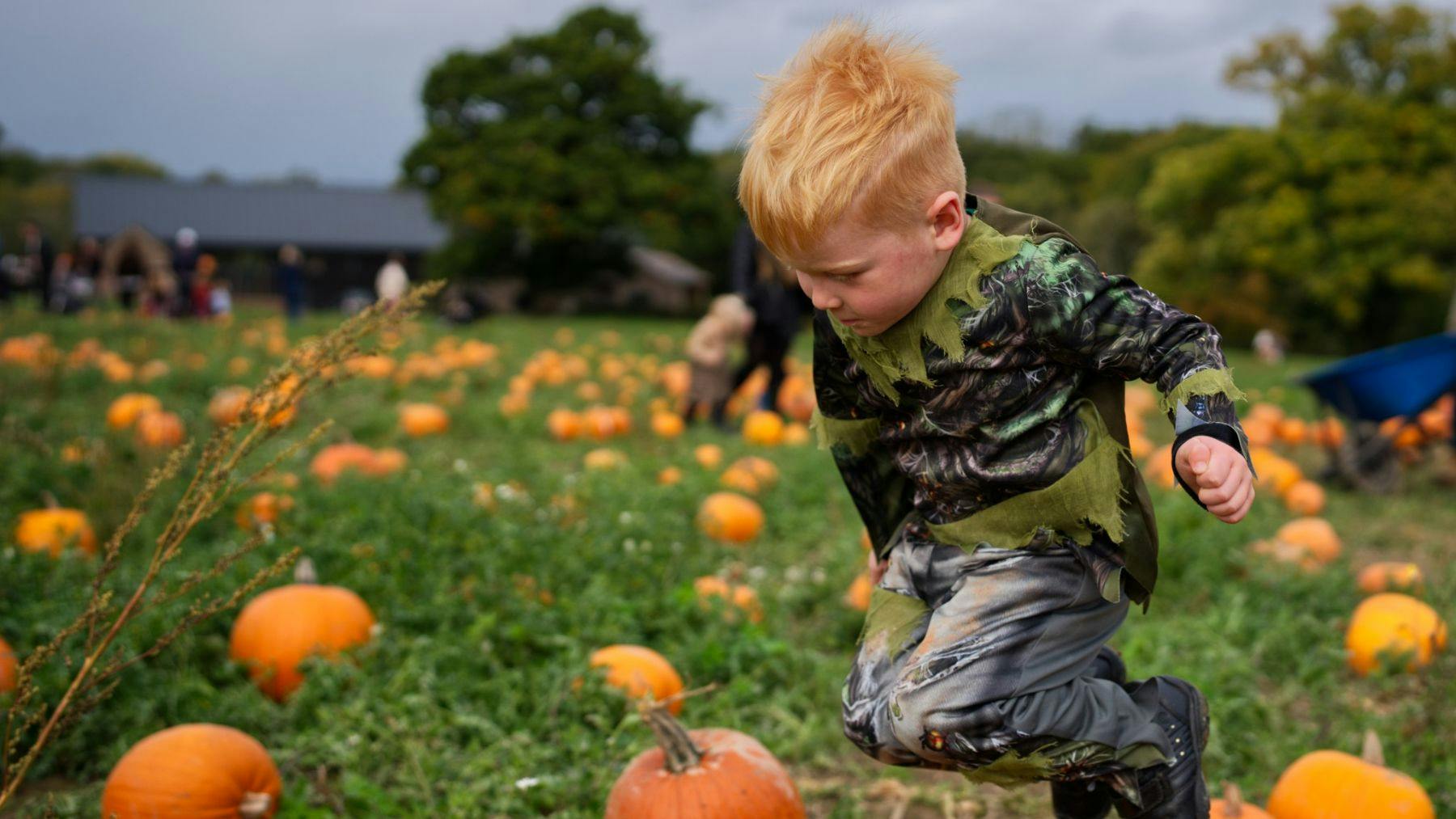 Laura Riddell | Author | Take a Break