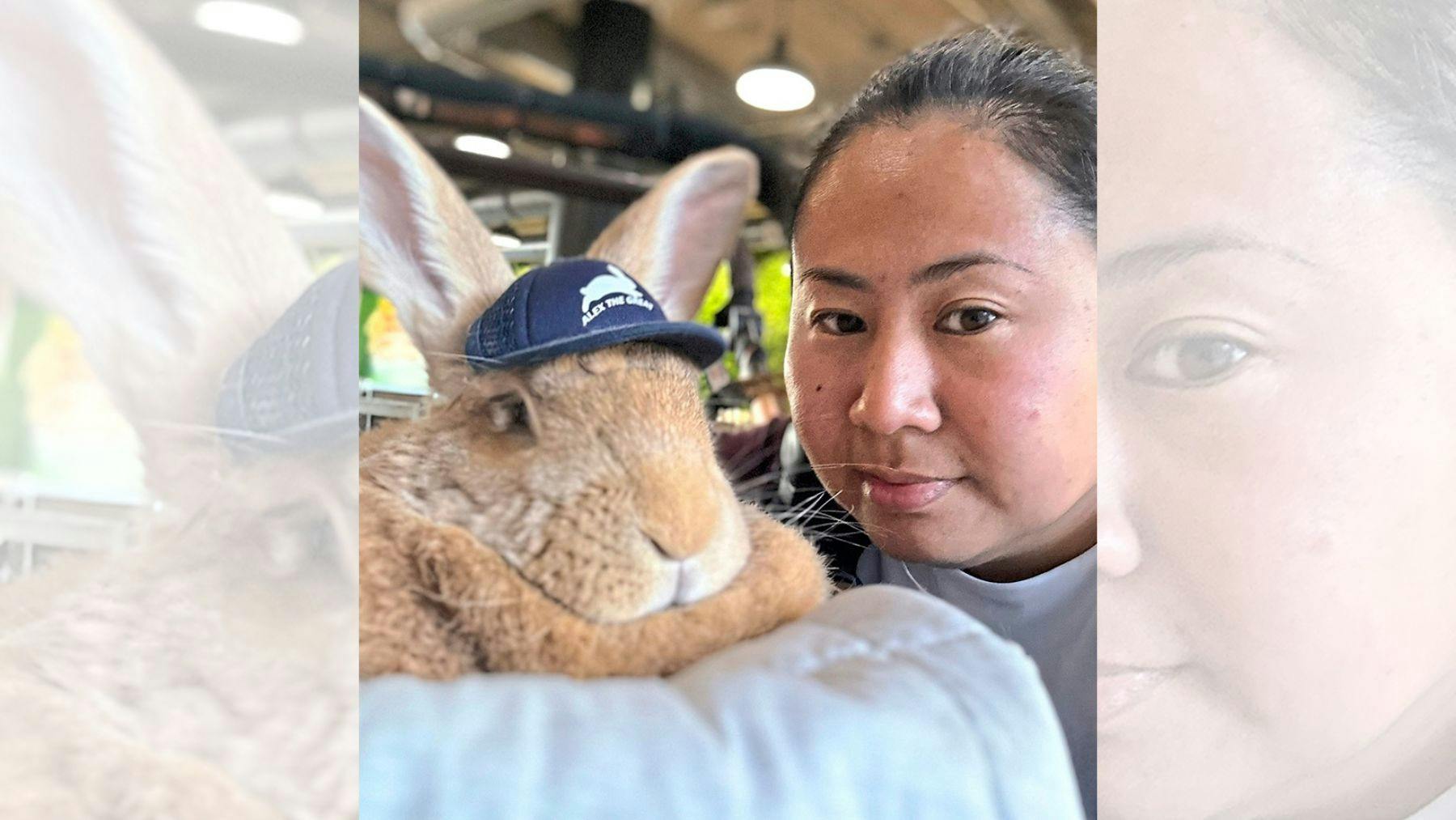 Some BUNNY to love! Rescue pet turned out to be something special