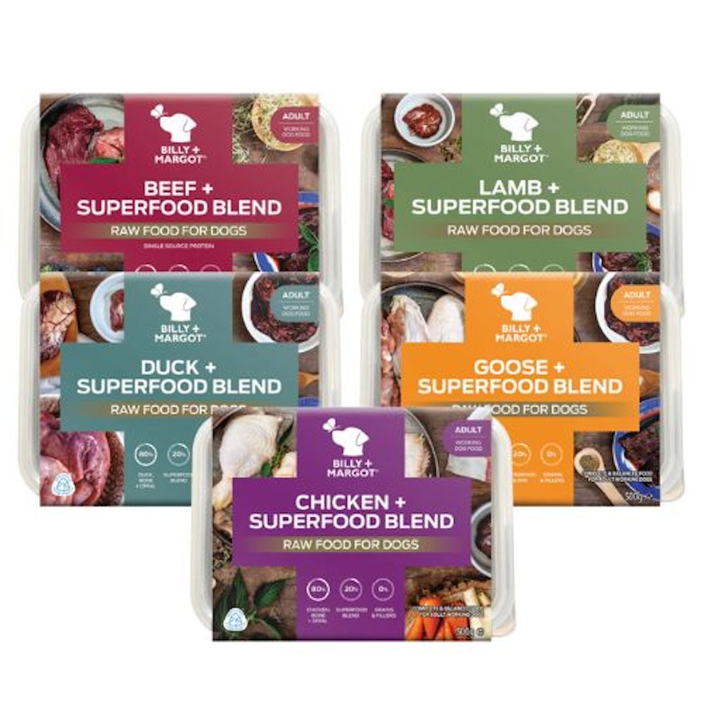 Best raw dog food UK: top brands and vet advice 2025