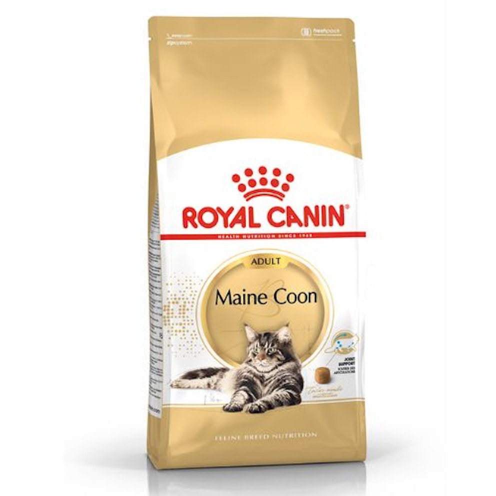 Best cat food for Maine Coons 2025