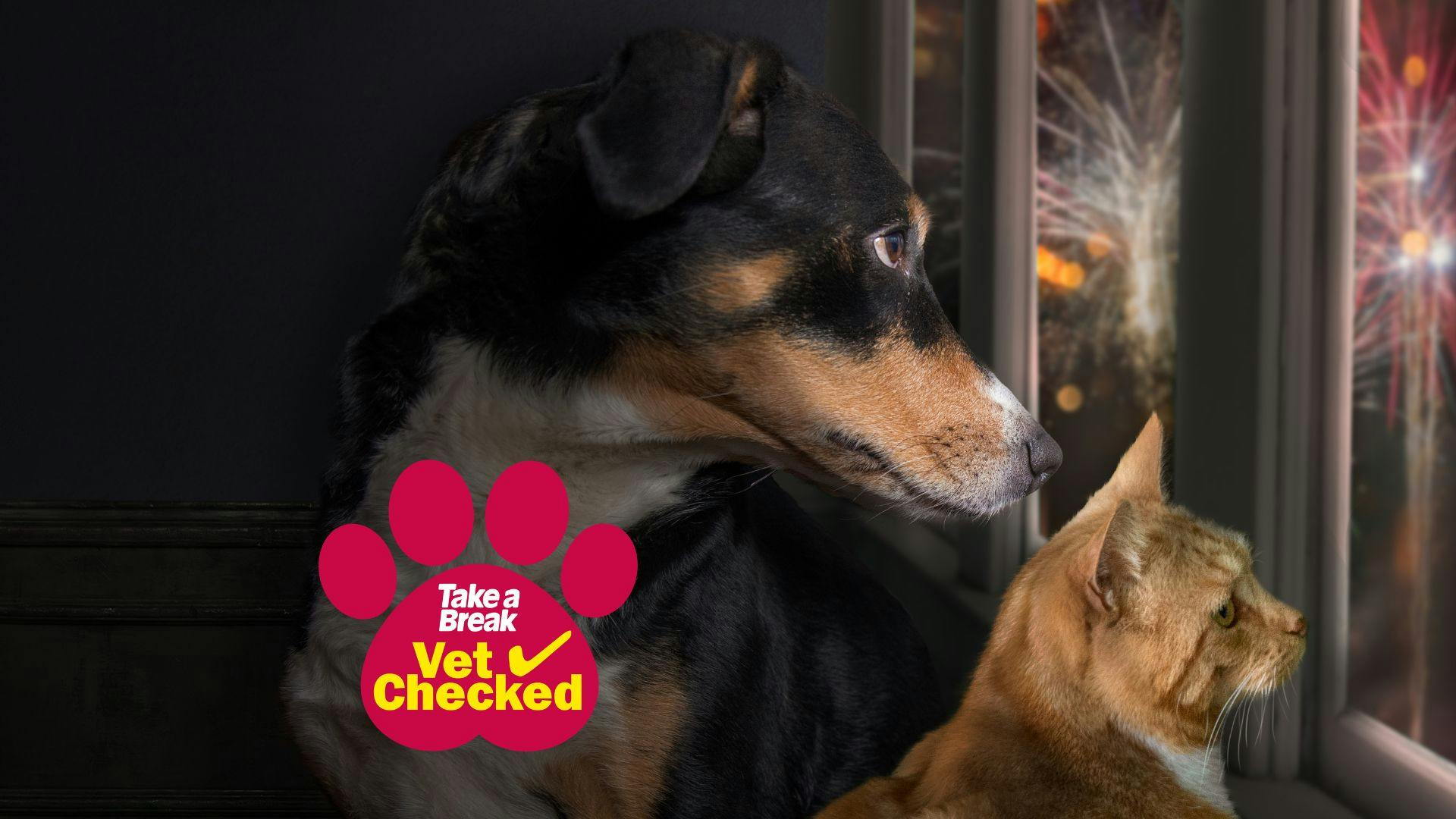 Firework safety tips for pets for Bonfire Night 2024