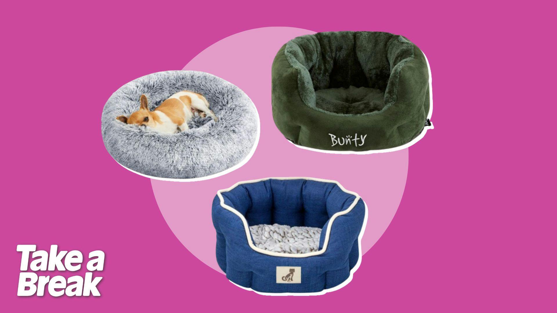 10 best beds for small dogs that are cosy and easy to clean