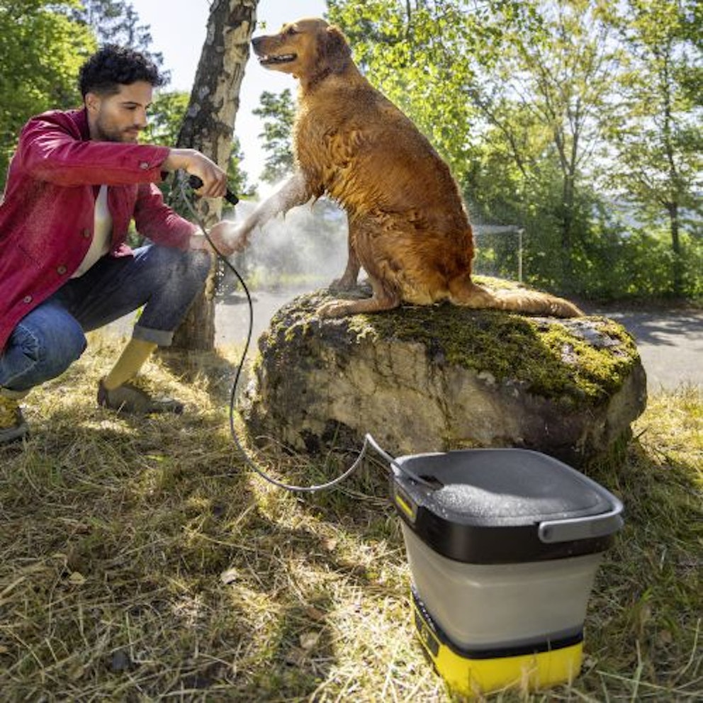 Best portable dog washers to clean up mucky pups