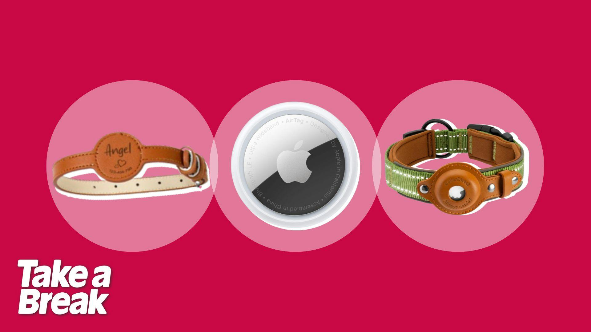 Best AirTag dog collars that are stylish and secure