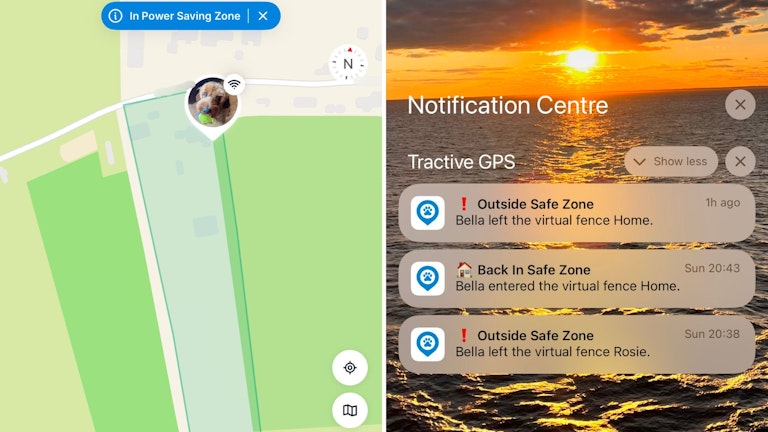 Tractive Dog 6 GPS review: Everything you need to know