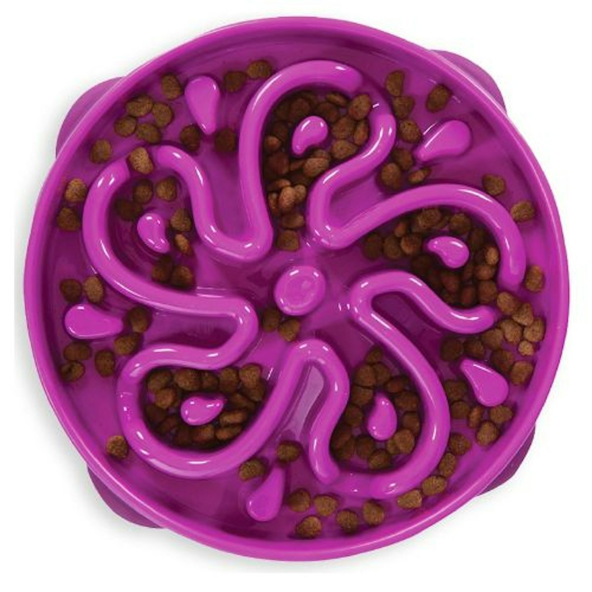 Best slow feeder bowls for dogs to encourage slower eating