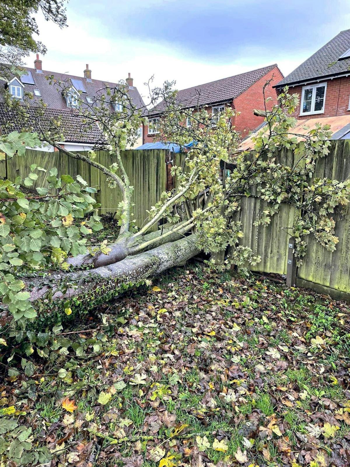 Halloween monster trapped my poor husband