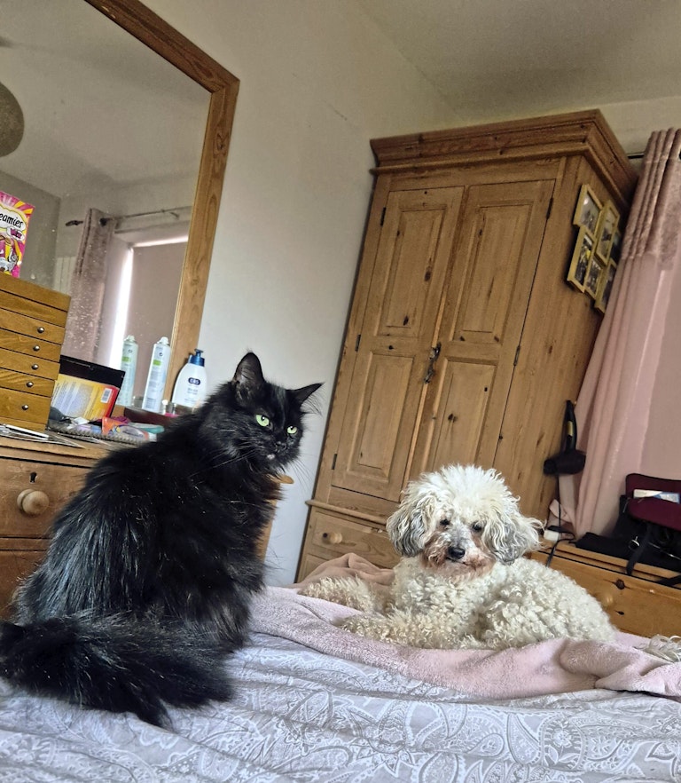 'I got my MOJO back!' My missing moggy returned home after four years