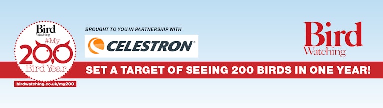 #My200BirdYear Target List 2025 | Bird Watching