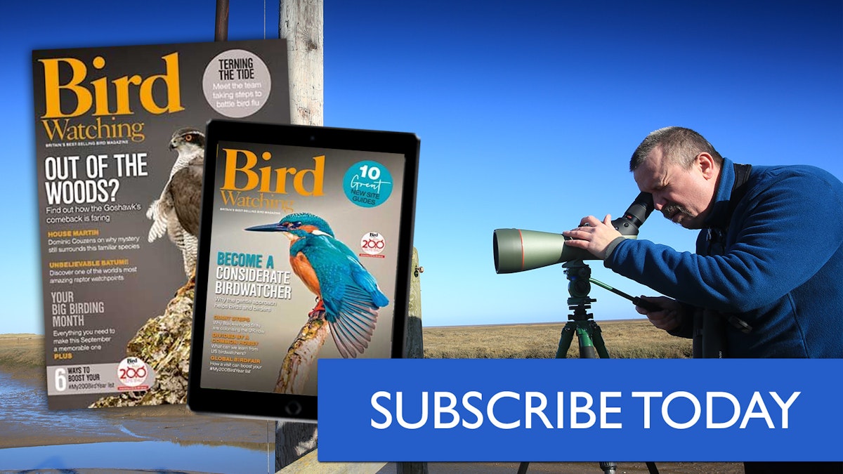 Choose the right subscription for you… | Magazine | Bird Watching