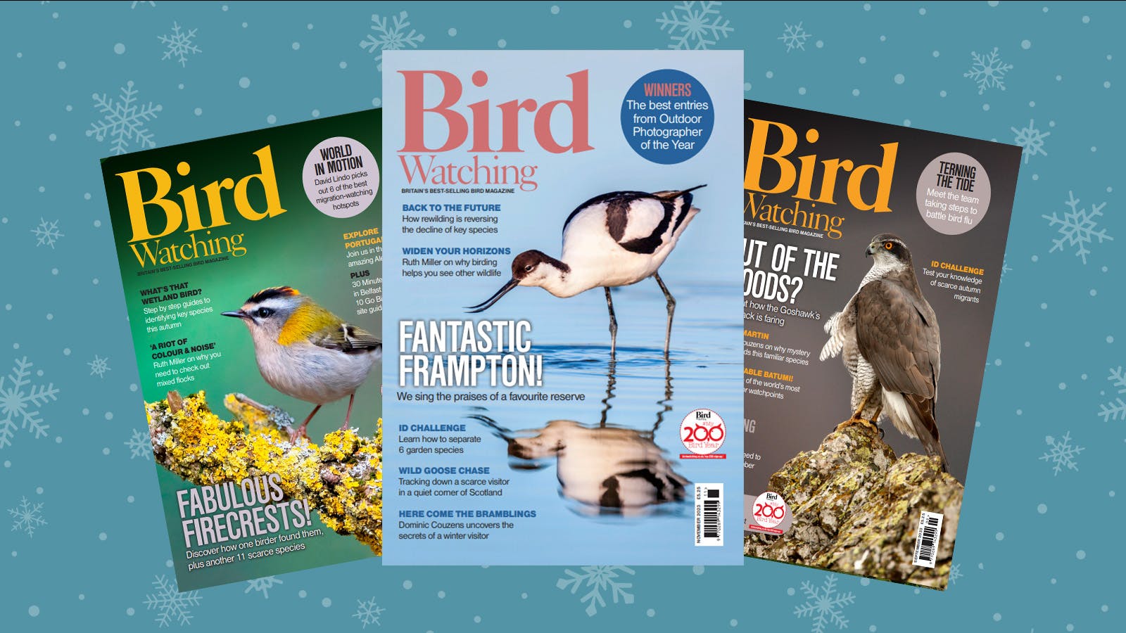 Latest Issues | Magazine | Bird Watching