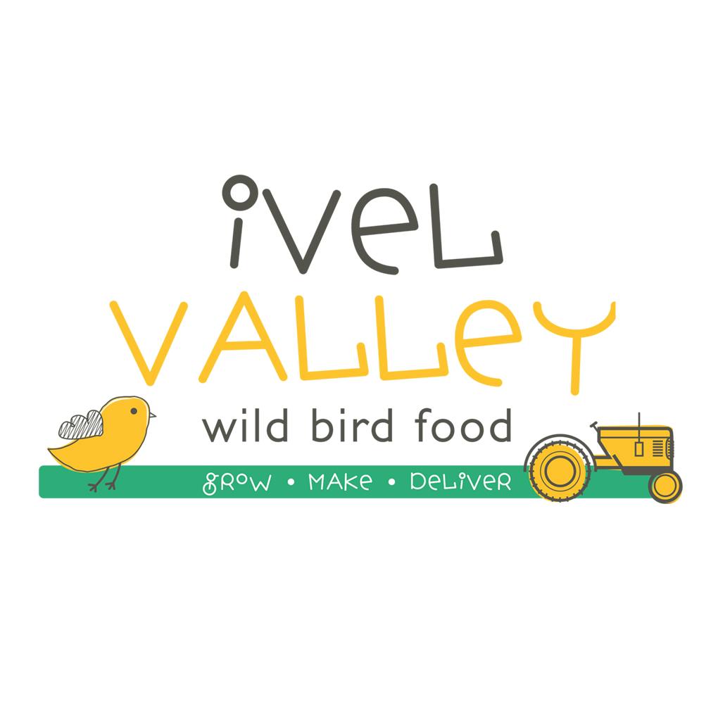 Treat your garden visitors this Christmas with Ivel Valley Wild Bird ...