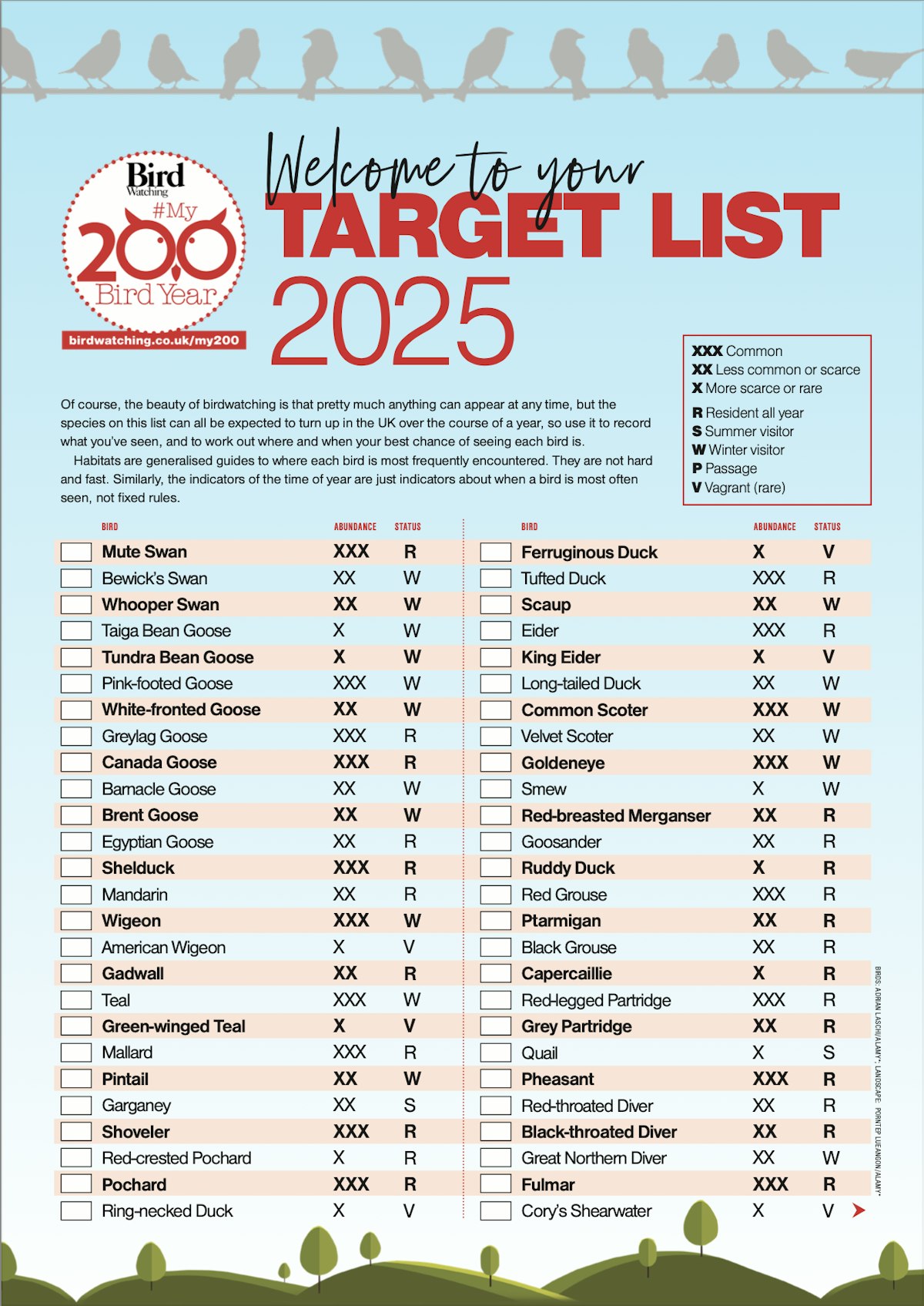 OUR 2025 TARGET LIST IS THE BEST WAY TO TRACK YOUR #MY200BIRDYEAR. | #My200BirdYear | Bird Watching