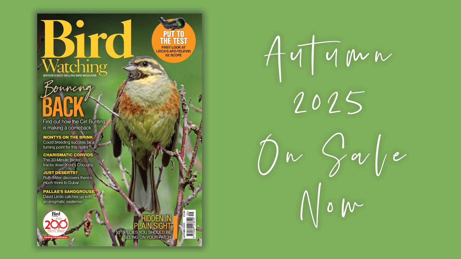 Latest Issues | Magazine | Bird Watching