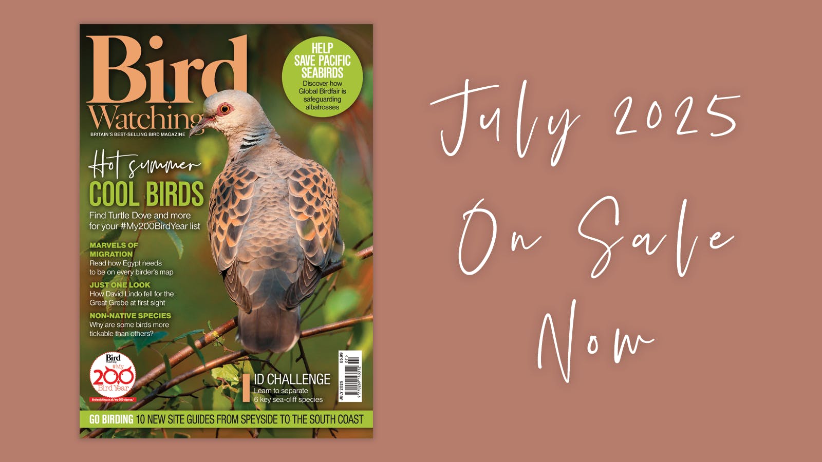 Bird Watching – July 2025 ON SALE NOW | Magazine | Bird Watching