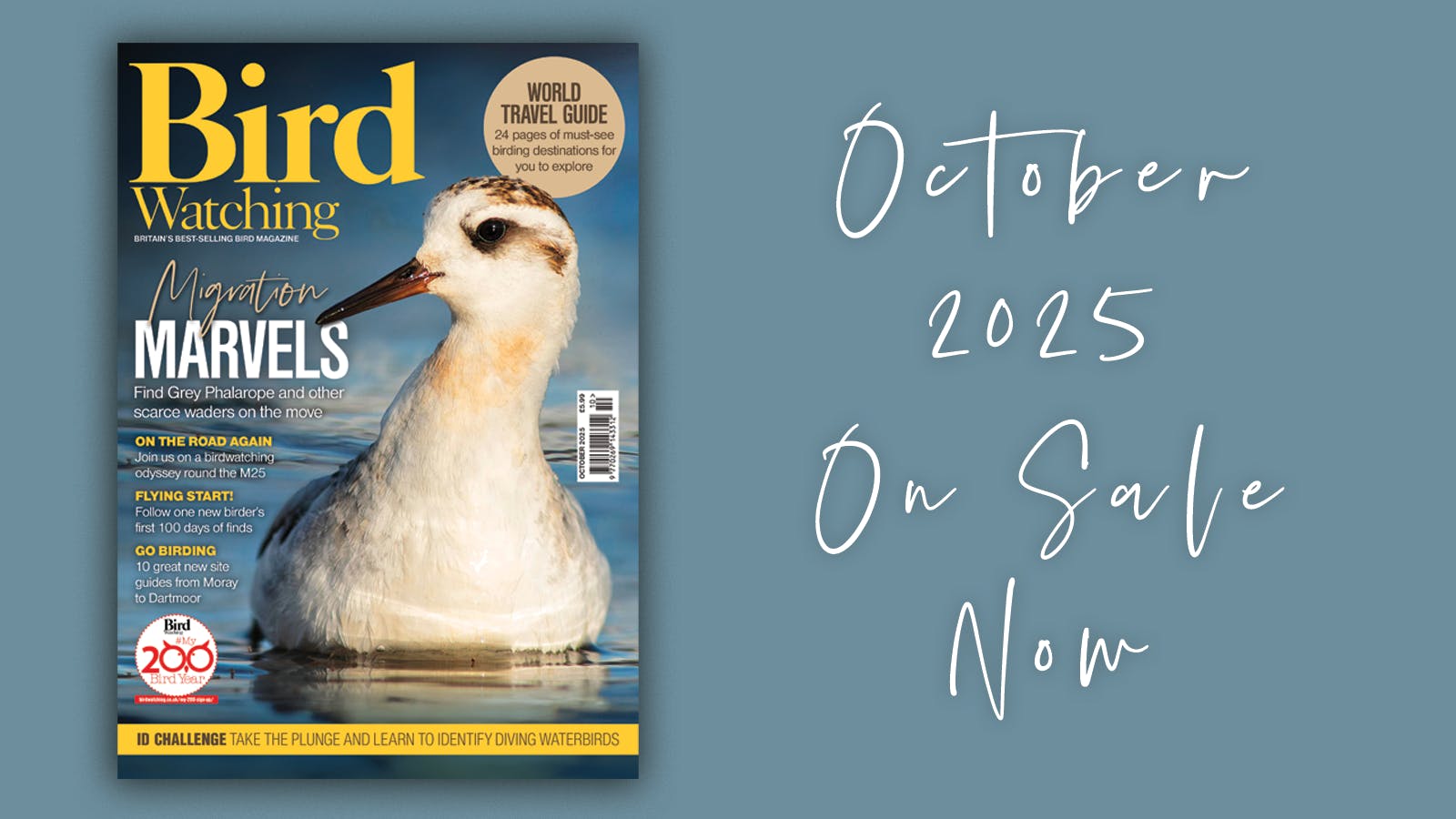 Bird Watching – October 2025 ON SALE NOW | Magazine | Bird Watching