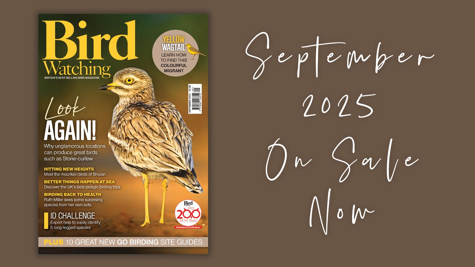 Bird Watching – September 2025 ON SALE NOW | Magazine | Bird Watching