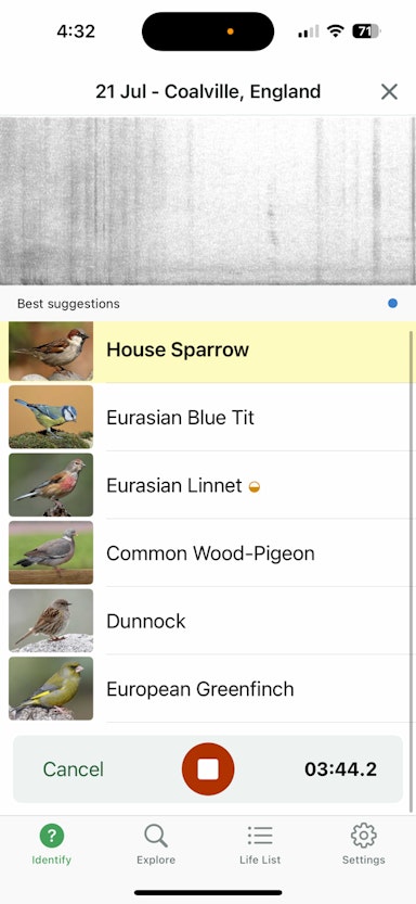 Merlin Bird ID app revisited | Features | Bird Watching