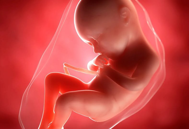 36 Weeks Pregnant Advice Symptoms And What To Expect Pregnancy 36 Weeks Pregnant Advice Symptoms And What To Expect Pregnancy